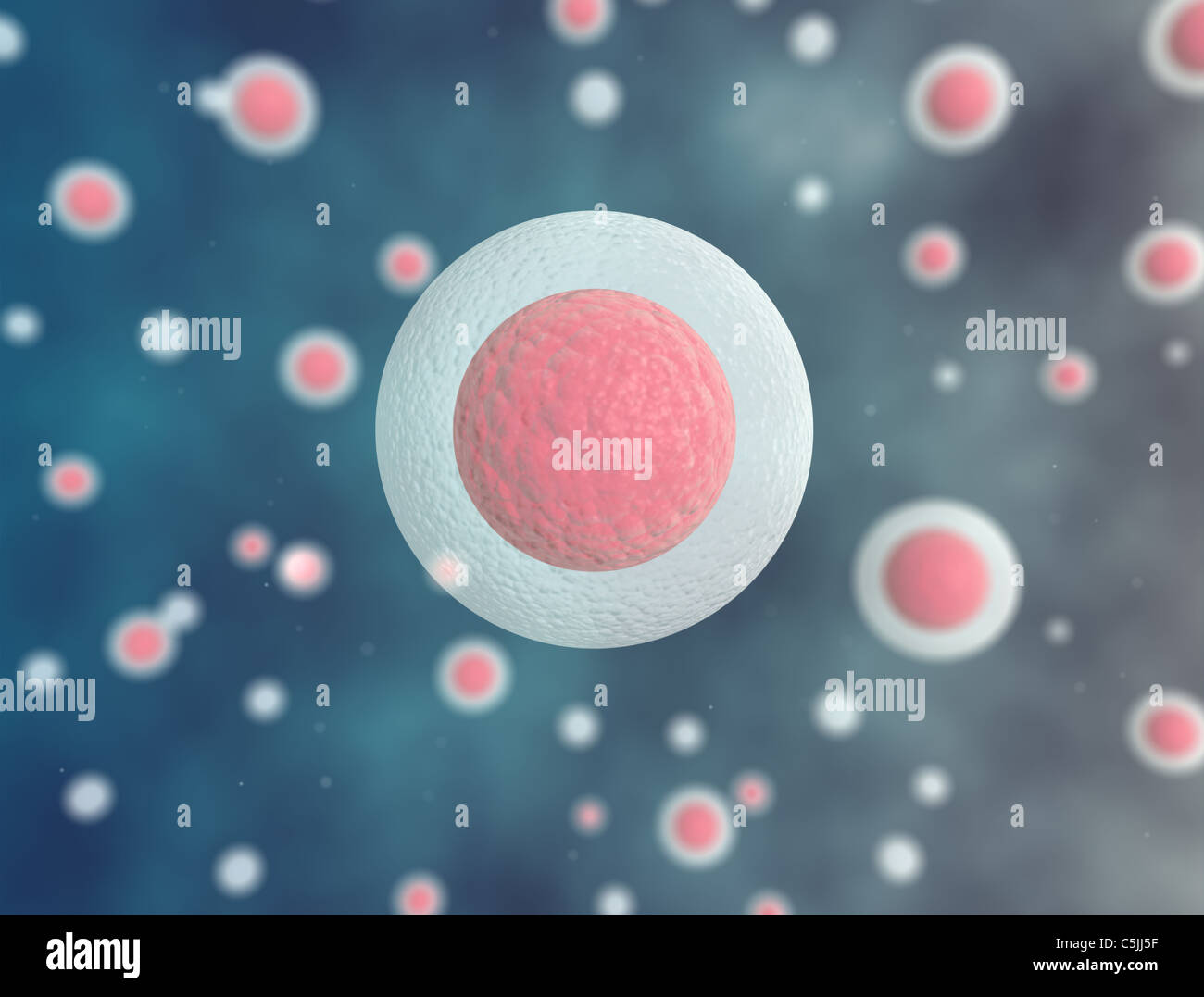 Science background embryo cells Stock Photo - Alamy
