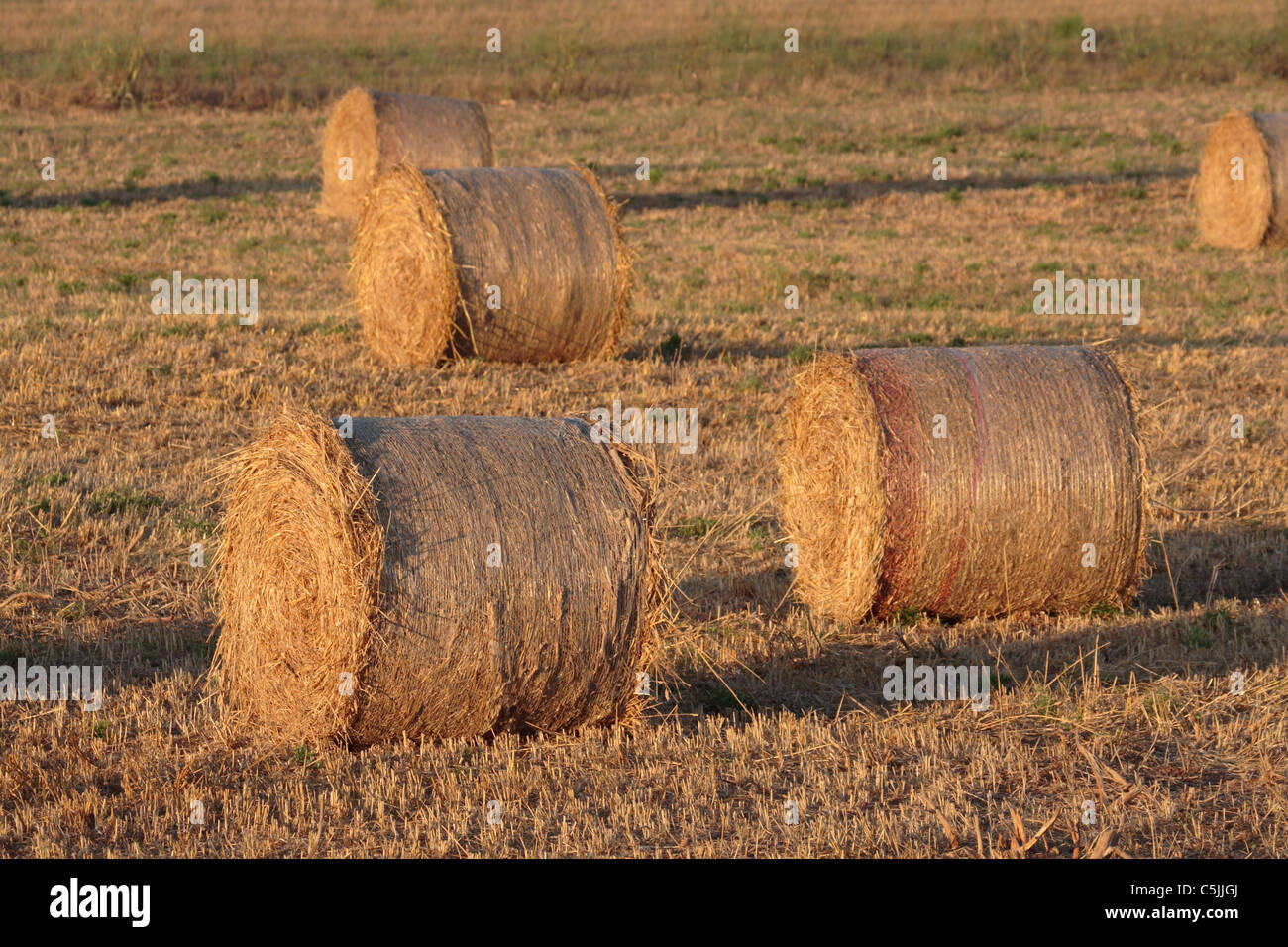 Old hay bales hi-res stock photography and images - Alamy