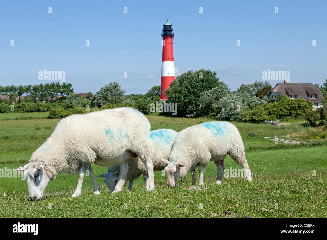 Pellworm lighthouse hi-res stock photography and images - Alamy