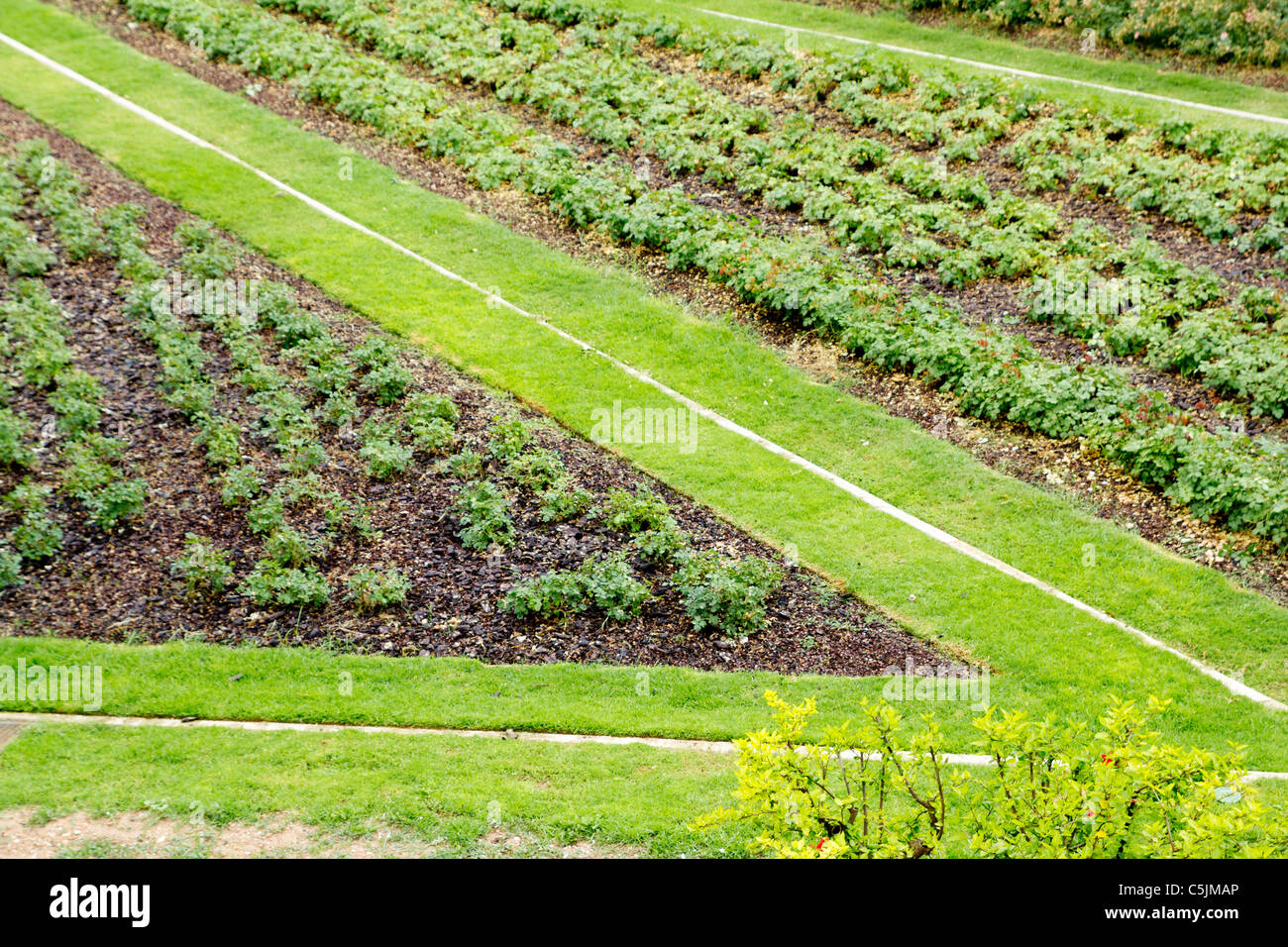 Cut shape in grass hi-res stock photography and images - Alamy