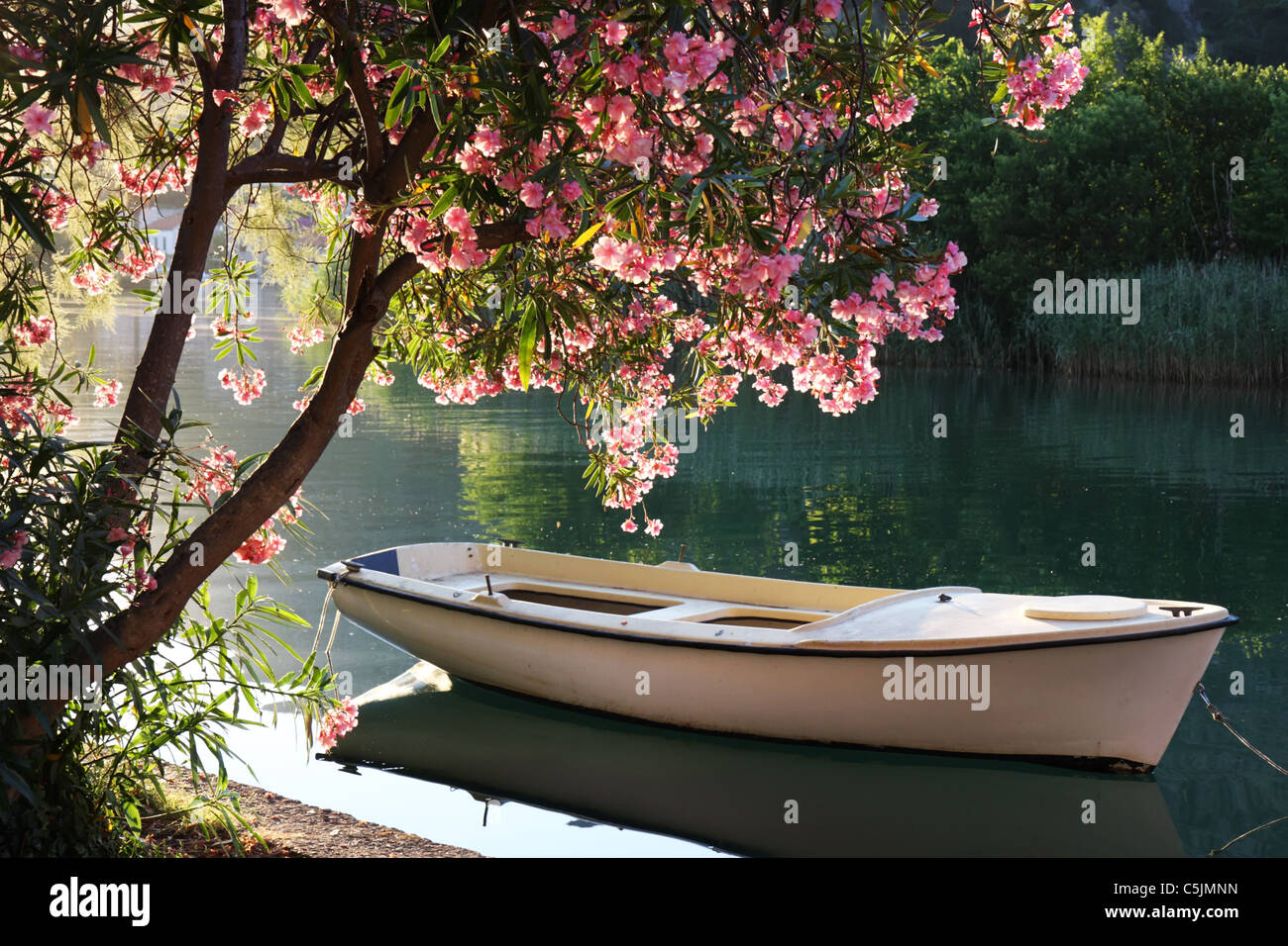 Boat on Ombla river near Rozat, Croatia Stock Photo - Alamy