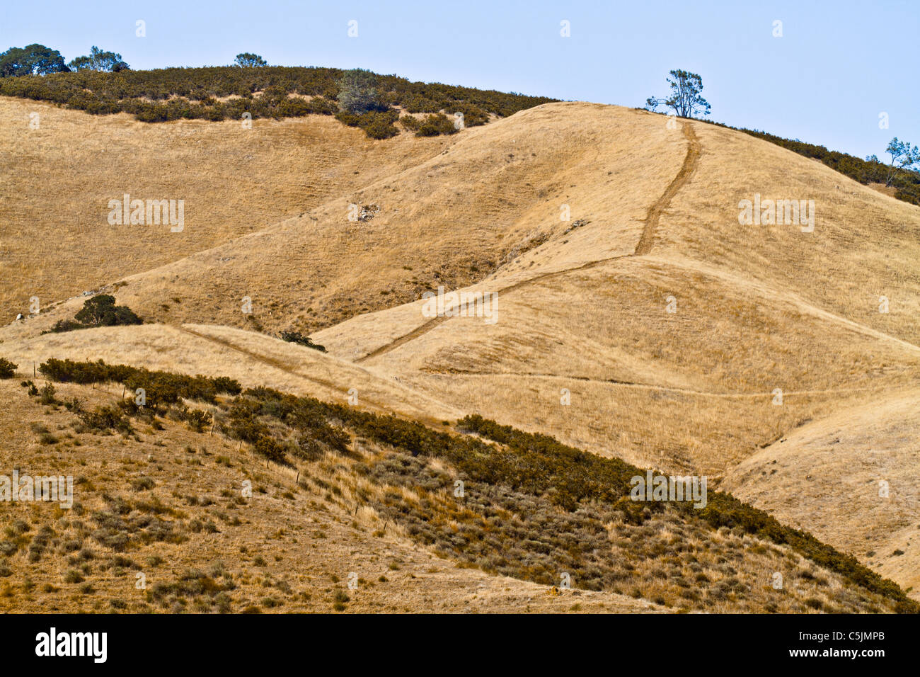 Farming in the Salinas Valley of California, USA Stock Photo - Alamy