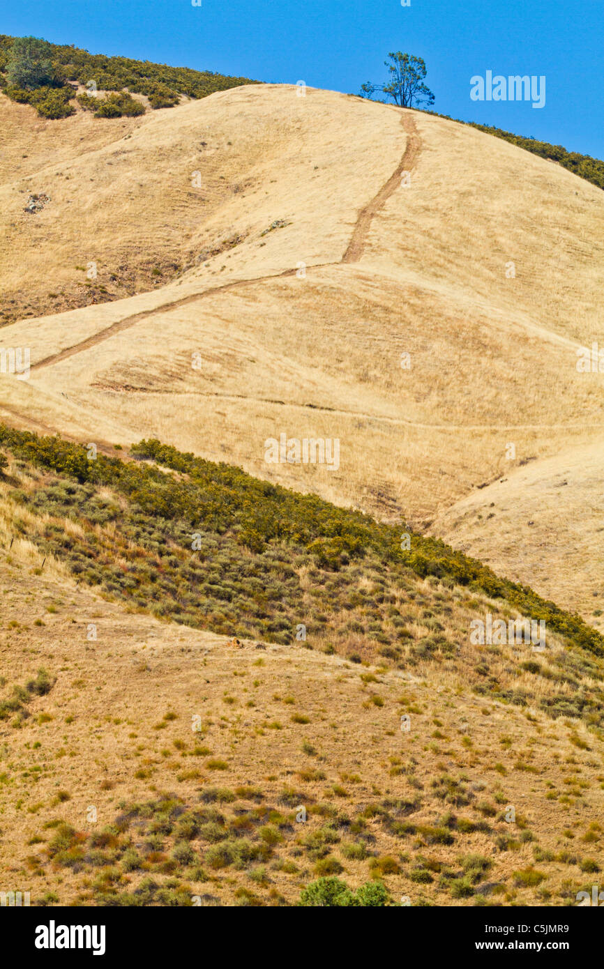 Farming in the Salinas Valley of California, USA Stock Photo - Alamy