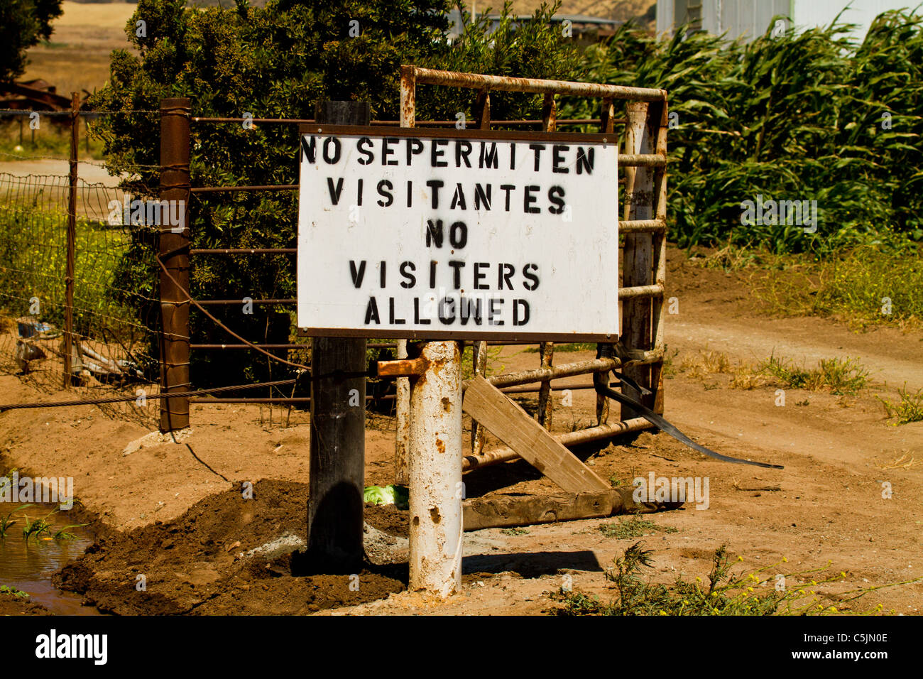Farming in the Salinas Valley of California, USA Stock Photo - Alamy