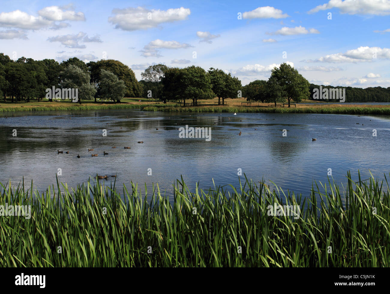 Warm hot summer summers day hi-res stock photography and images - Alamy