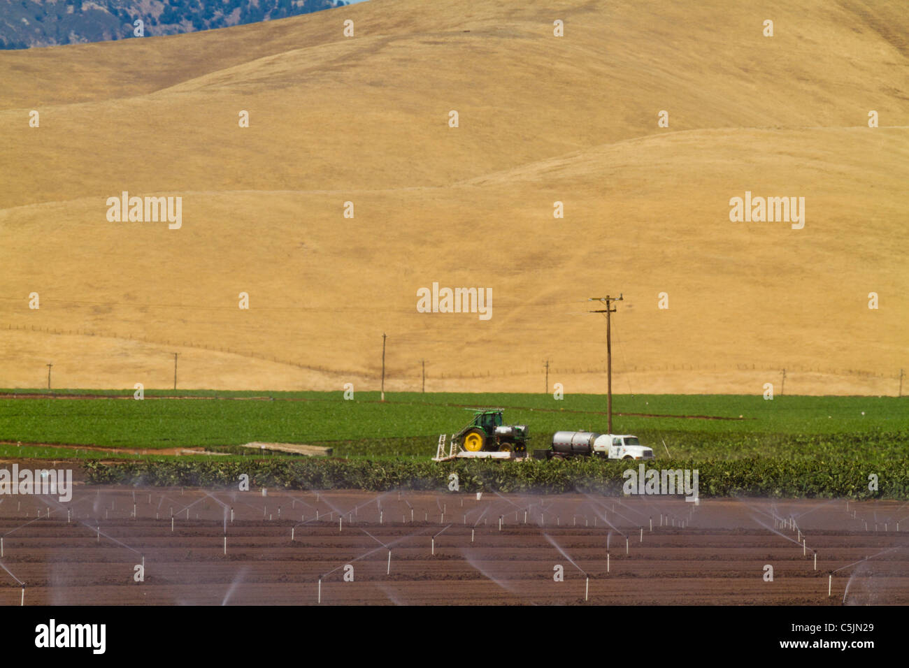 Farming in the Salinas Valley of California, USA Stock Photo - Alamy