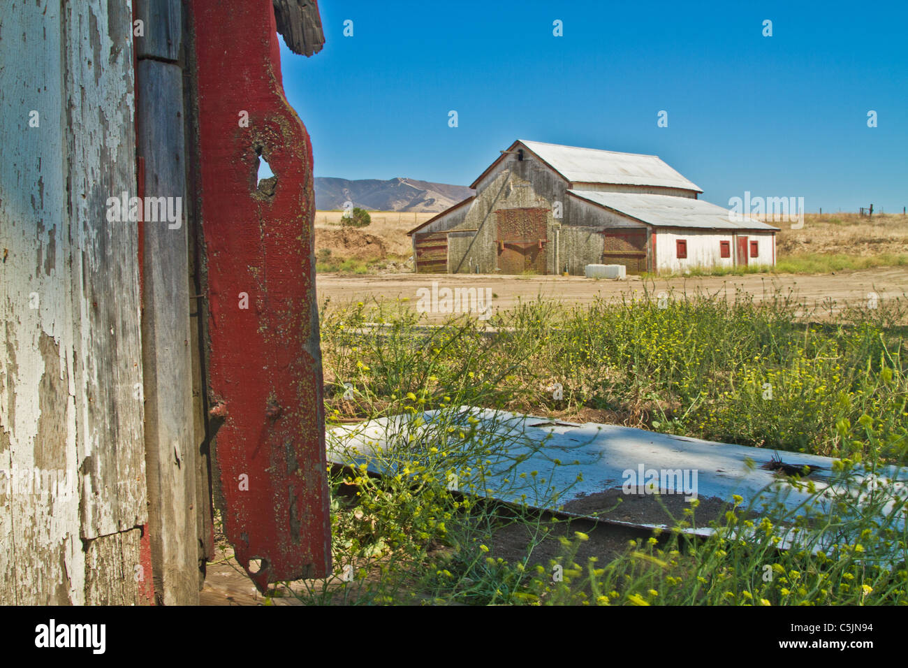 Farming in the Salinas Valley of California, USA Stock Photo - Alamy