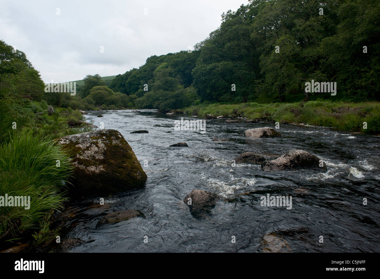 View river banks lined hi-res stock photography and images - Alamy