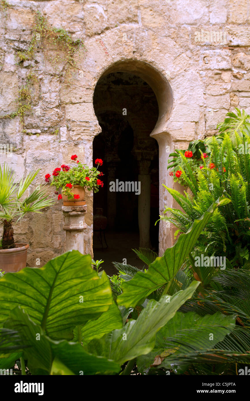 Arab baths in Majorca old city of Barrio Calatrava Los Patios at Palma ...