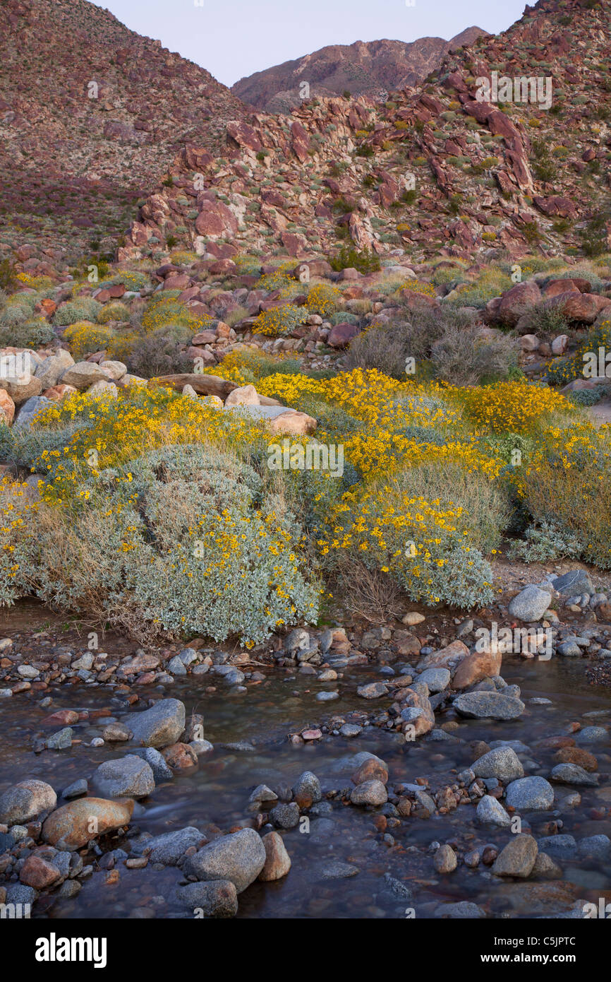 Desert landscape, Anza-Borrego Desert State Park, California Stock ...