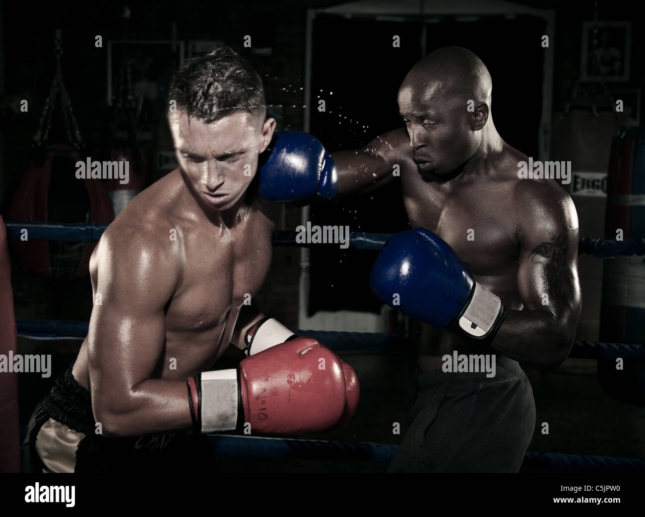 Male boxers in combat Stock Photo - Alamy Male boxers in combat Stock Photo - Alamy