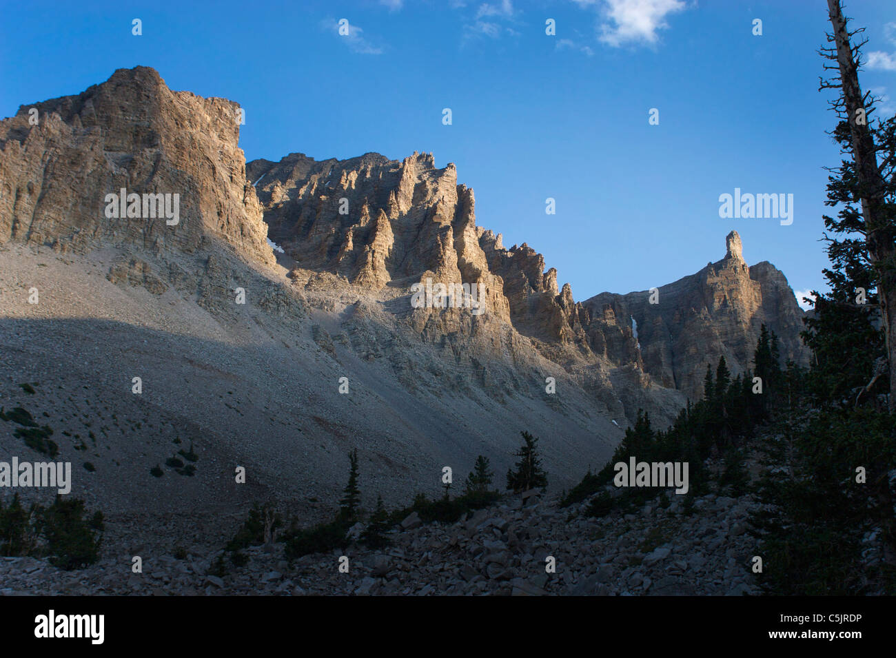 Bristlecone pine forest and peaks near treeline in Great Basin National ...