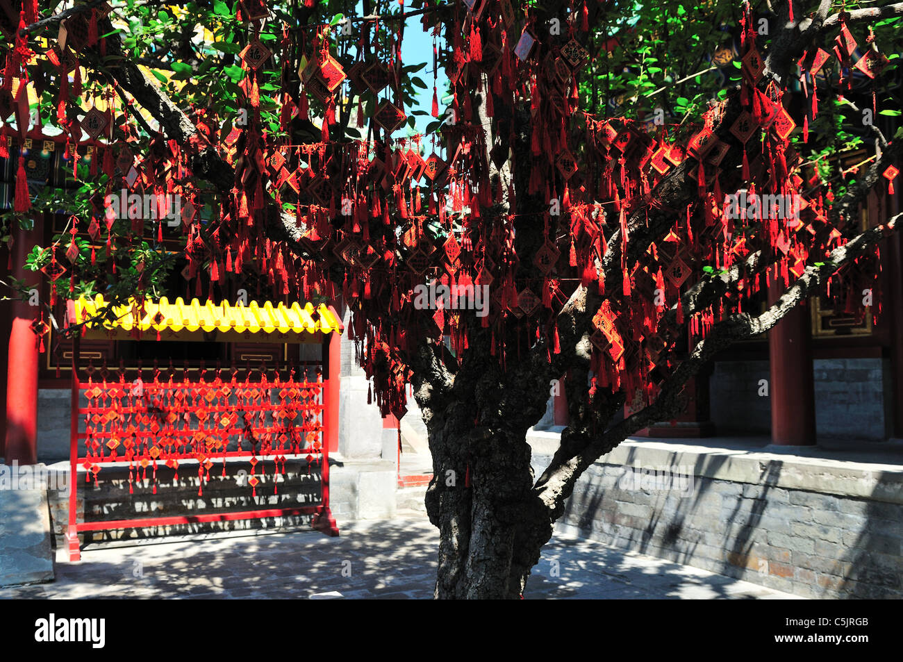 Prayer tree hi-res stock photography and images - Alamy