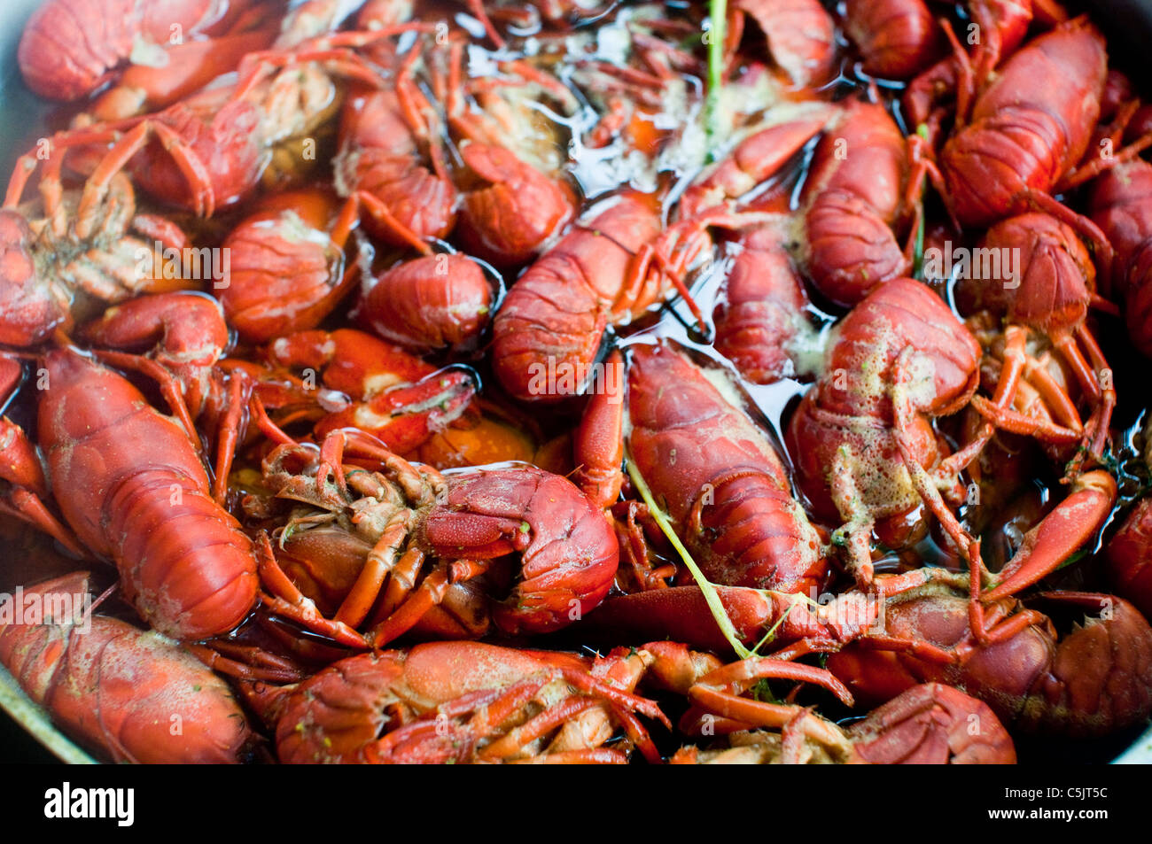 Crayfish hi-res stock photography and images - Alamy