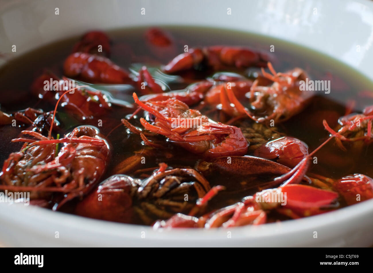 Crayfish hi-res stock photography and images - Alamy