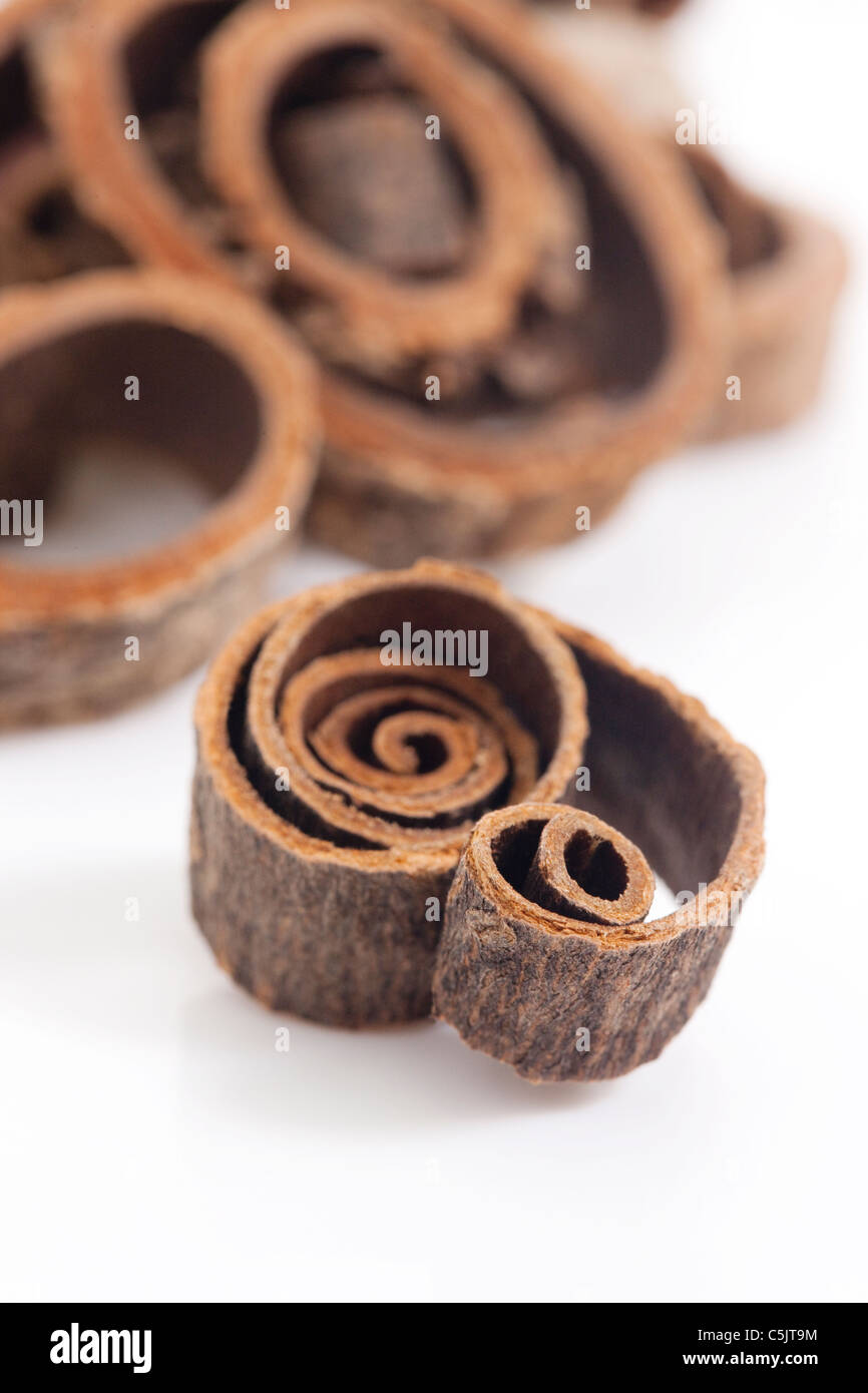 Close-up of Houpu, Chinese Herbal Medicine Stock Photo - Alamy