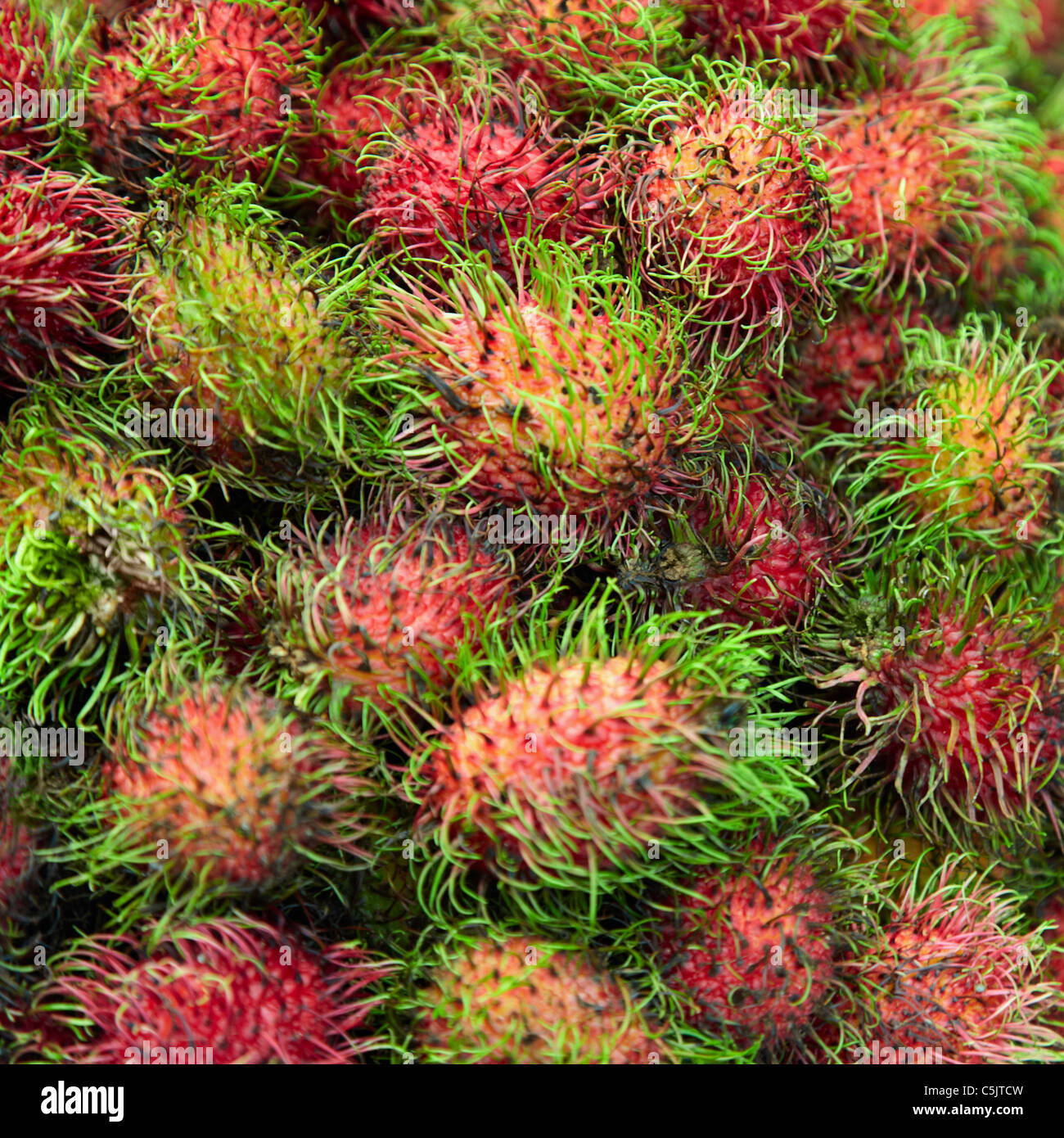 Square background of ripe fruits - rambutan Stock Photo - Alamy
