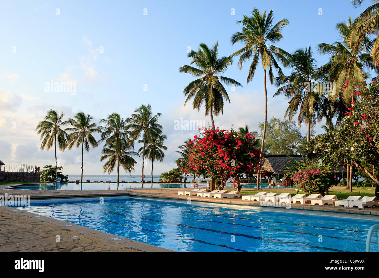 Tropical swimming pool early in the morning near Kenyan beach Stock Photo - Alamy
