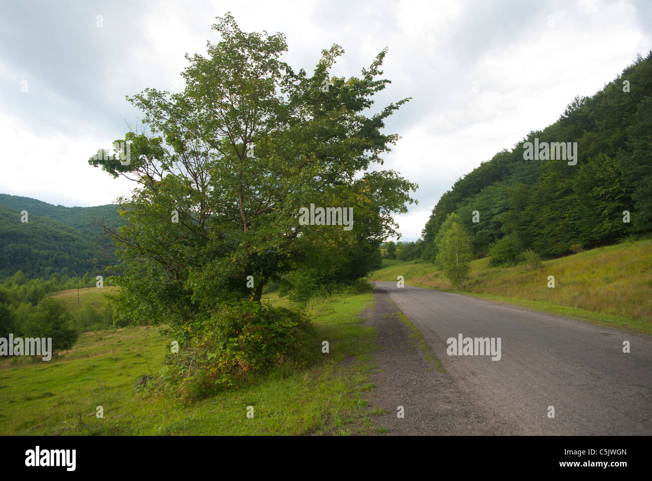 Mountain rural road with trees, meadow and overcast sky view Stock ...