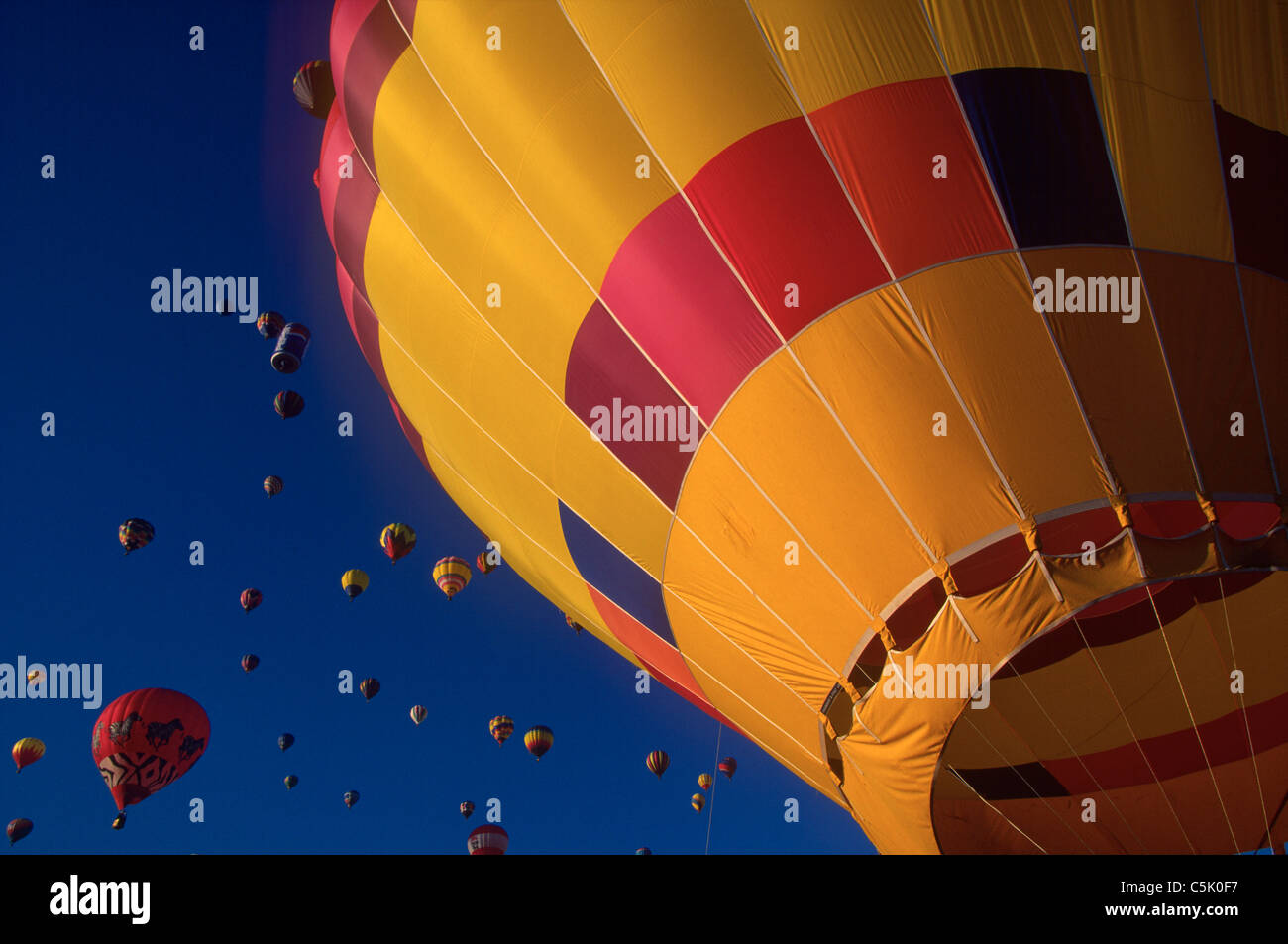 Hot air balloons, Albuquerque Balloon Festival, Albuquerque, New Mexico ...