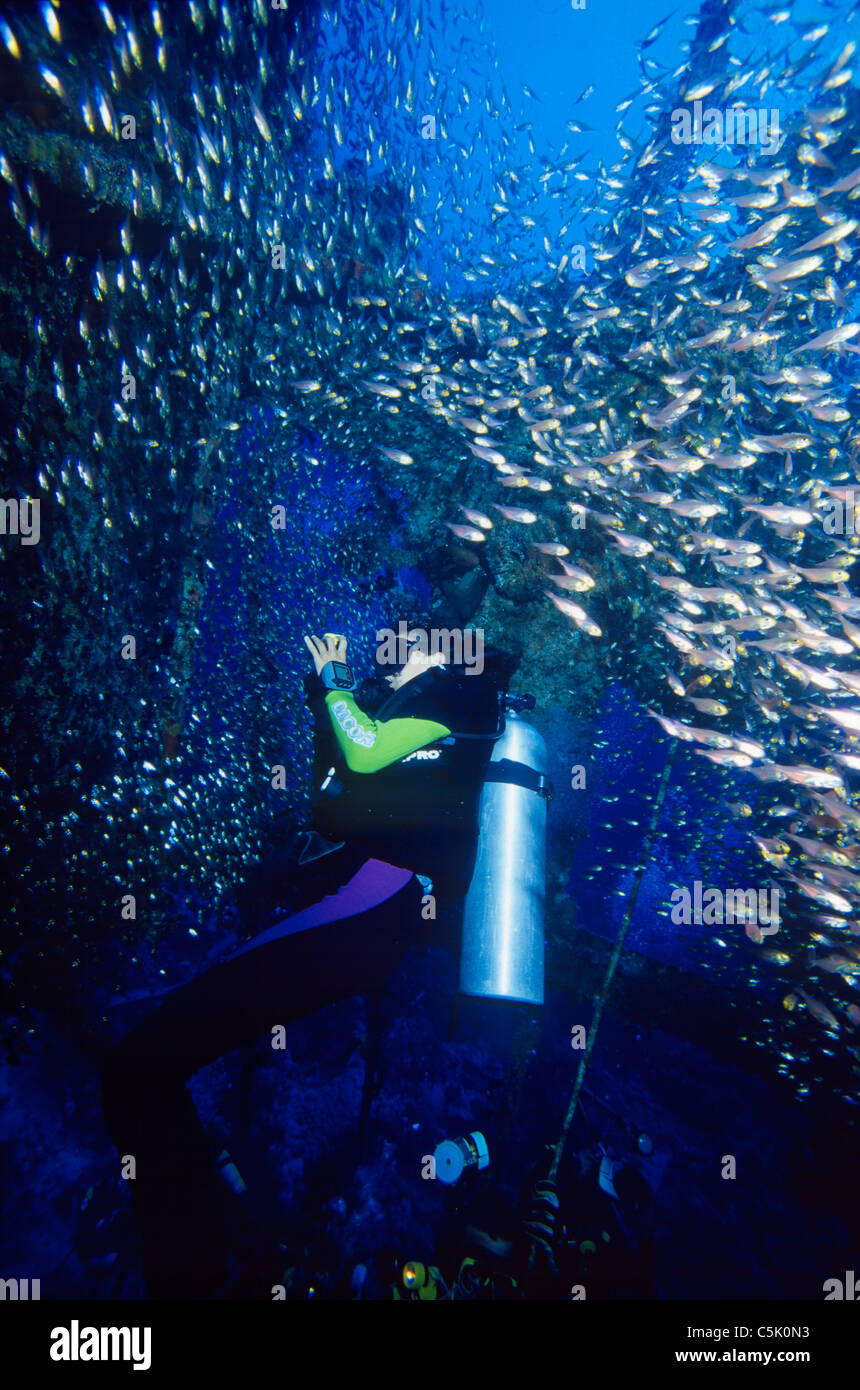 Female diver shipwreck in hi-res stock photography and images - Alamy