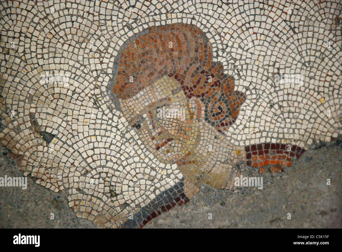 Great palace mosaic museum hi-res stock photography and images - Alamy