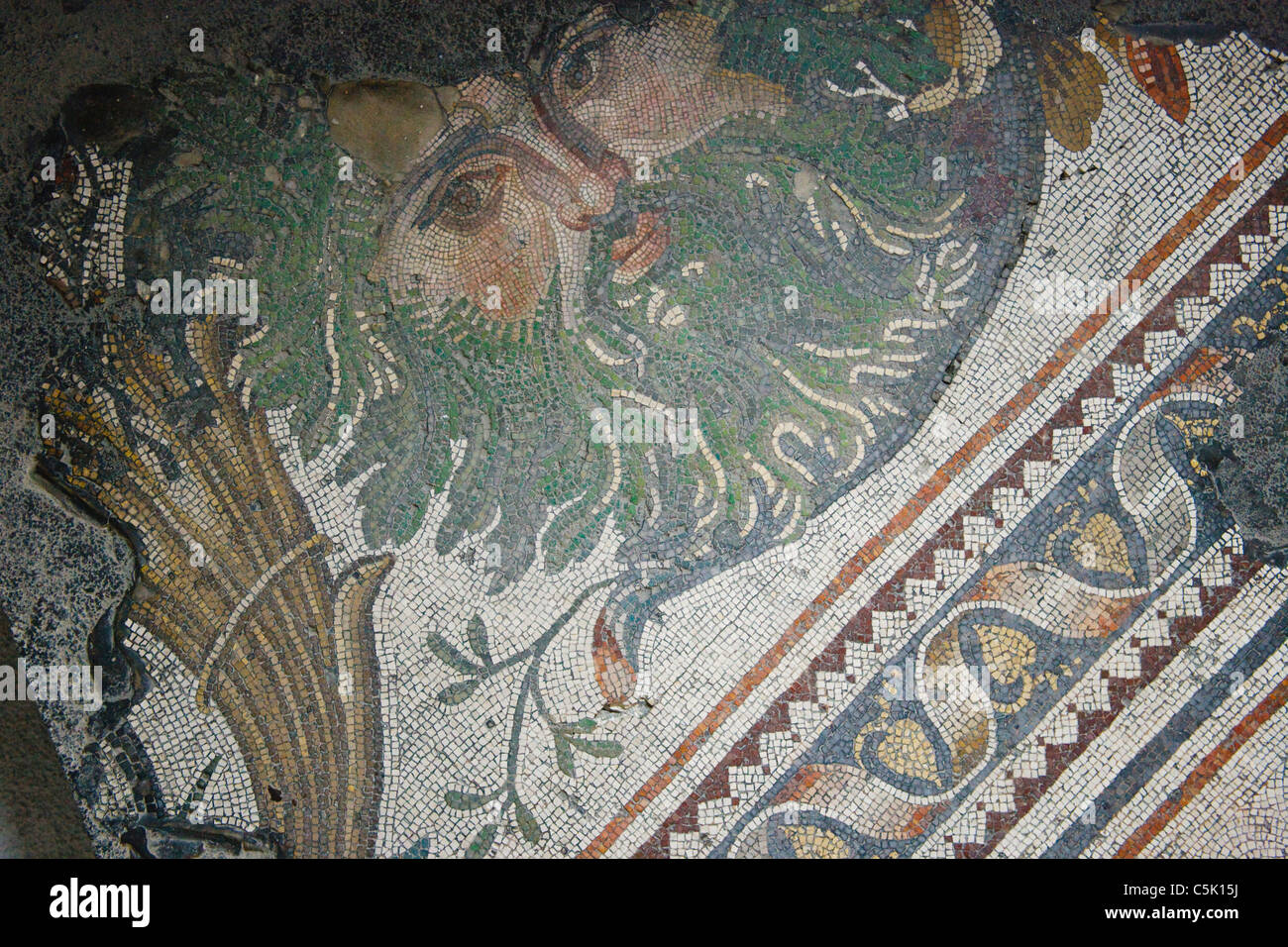 Mosaic work of a man with plants, The Great Palace Mosaic Museum in ...