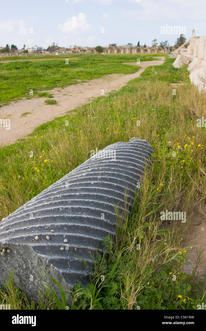 Black marble column in the hippodrome, Tyre, Lebanon Stock Photo - Alamy