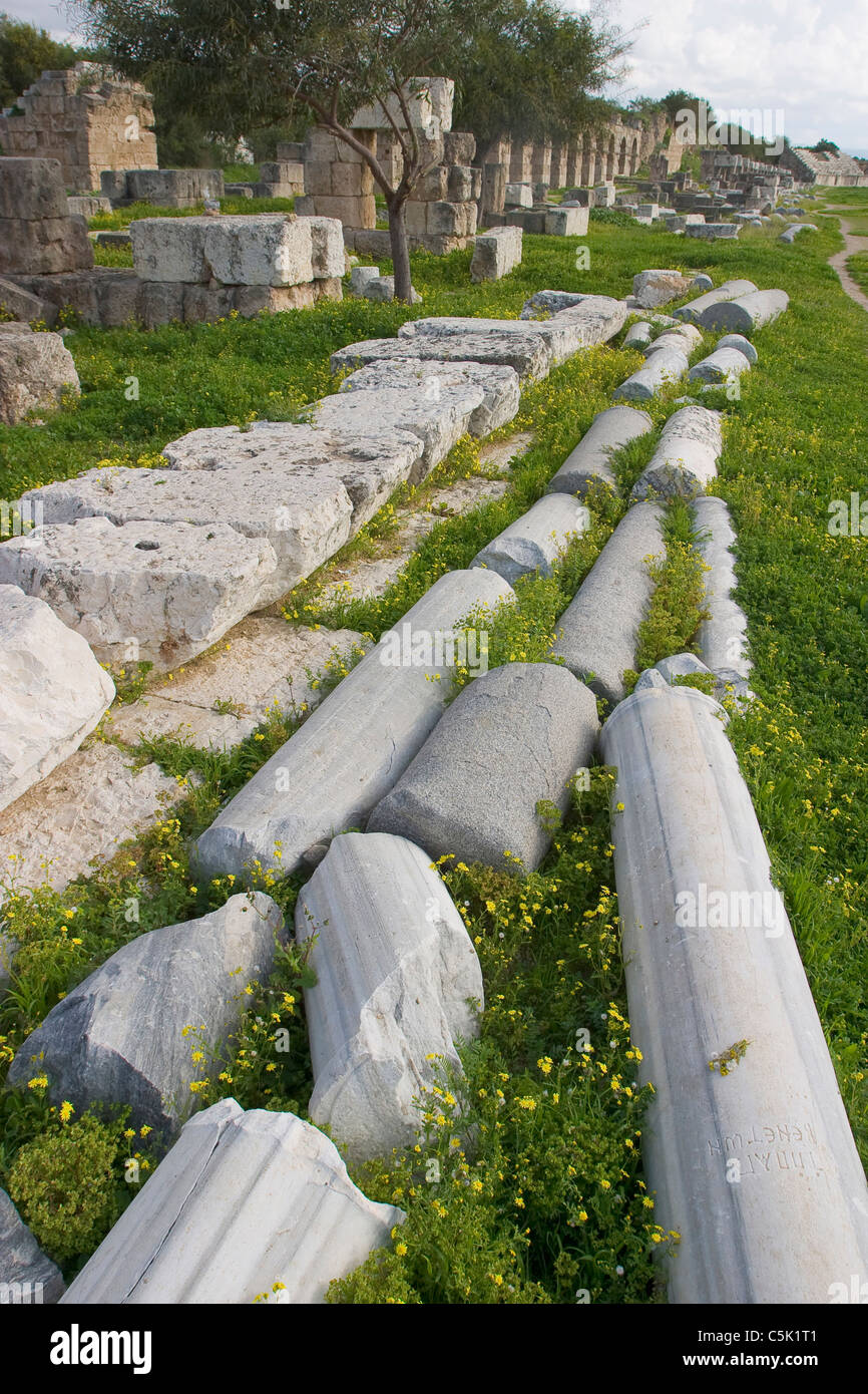 Marble columns lying on the ground in the hippodrome, Tyre, Lebanon ...