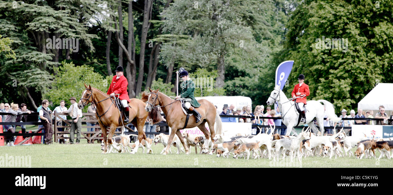 A parade of foxhunters and hounds at The CLA Game Fair, Blenheim Palace ...