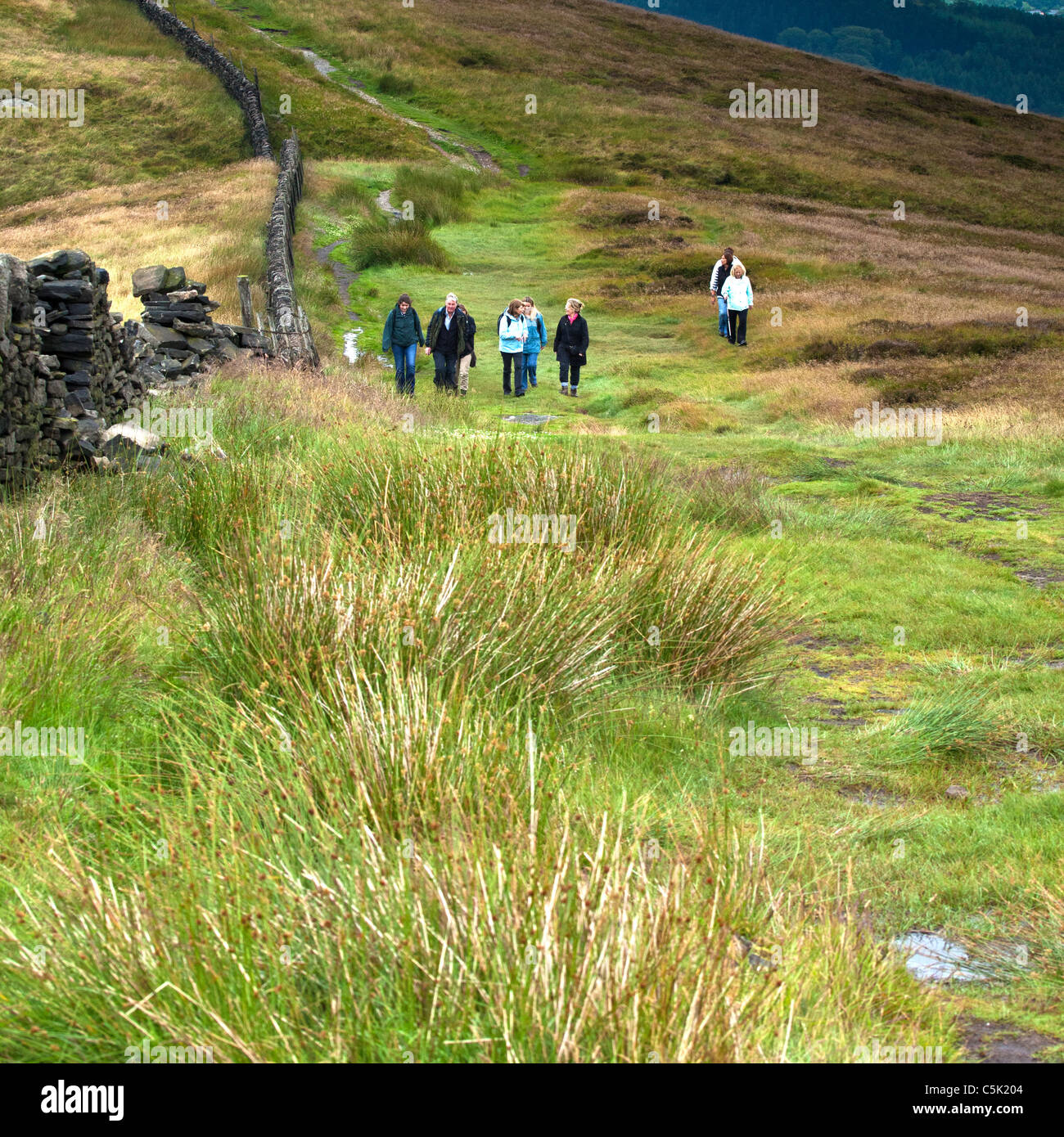 People Walking in Countryside Stock Photo - Alamy