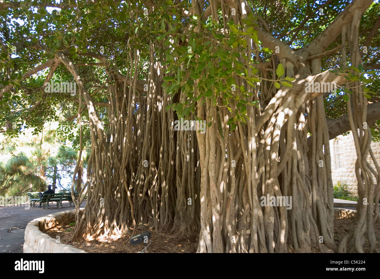 American university of beirut campus hi-res stock photography and ...