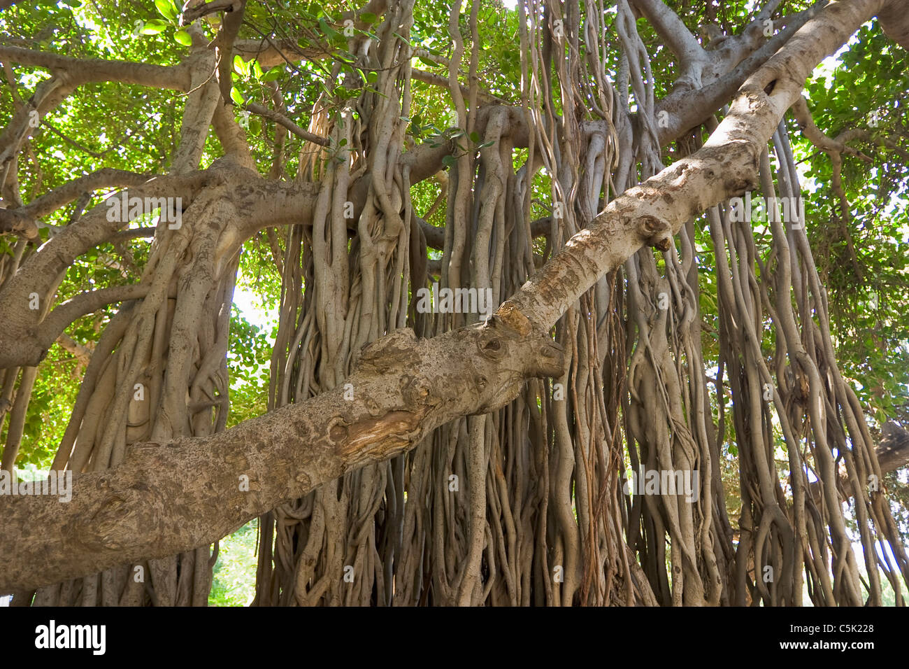 American university of beirut campus hi-res stock photography and ...
