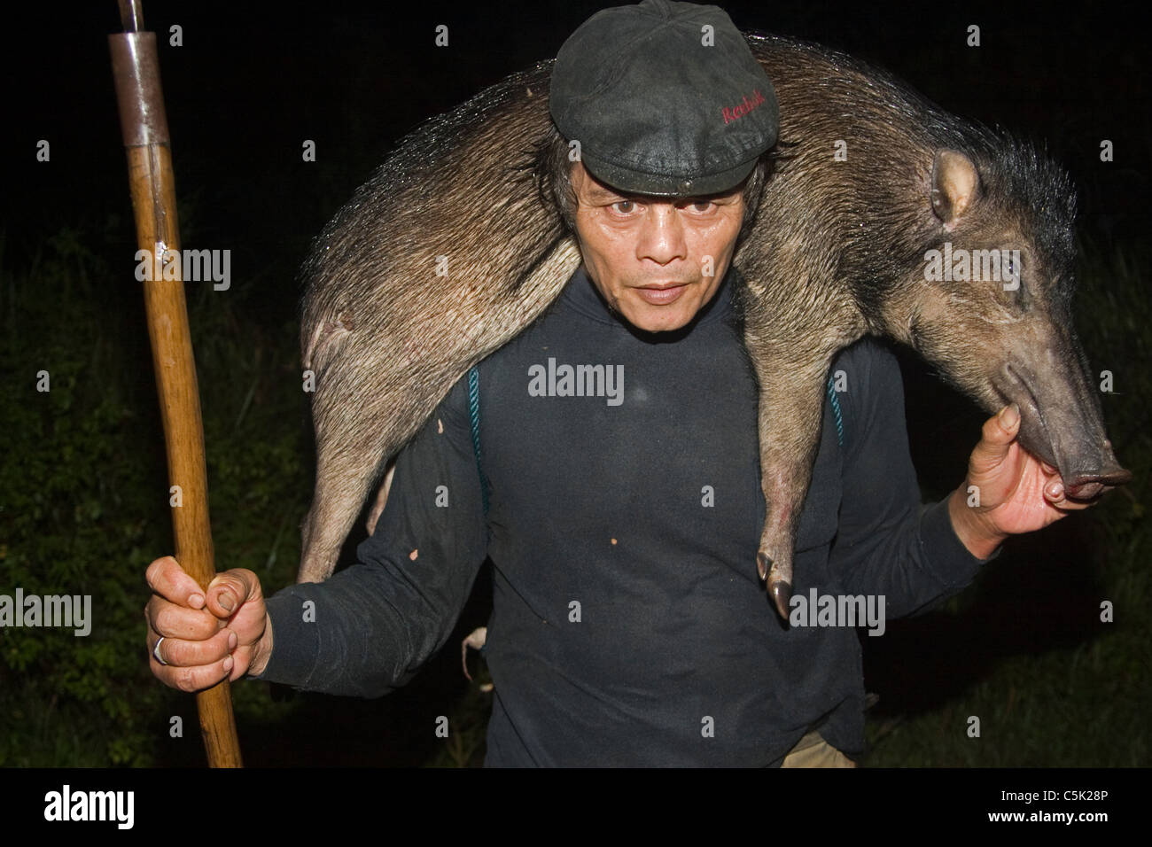 Carrying pig hi-res stock photography and images - Alamy