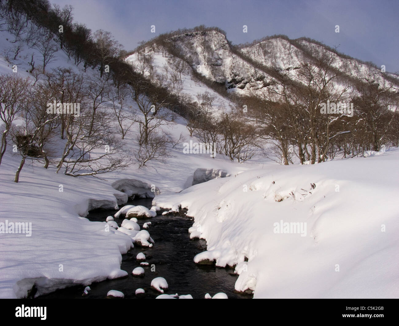 Winter scenic from Nagano Japan Stock Photo - Alamy