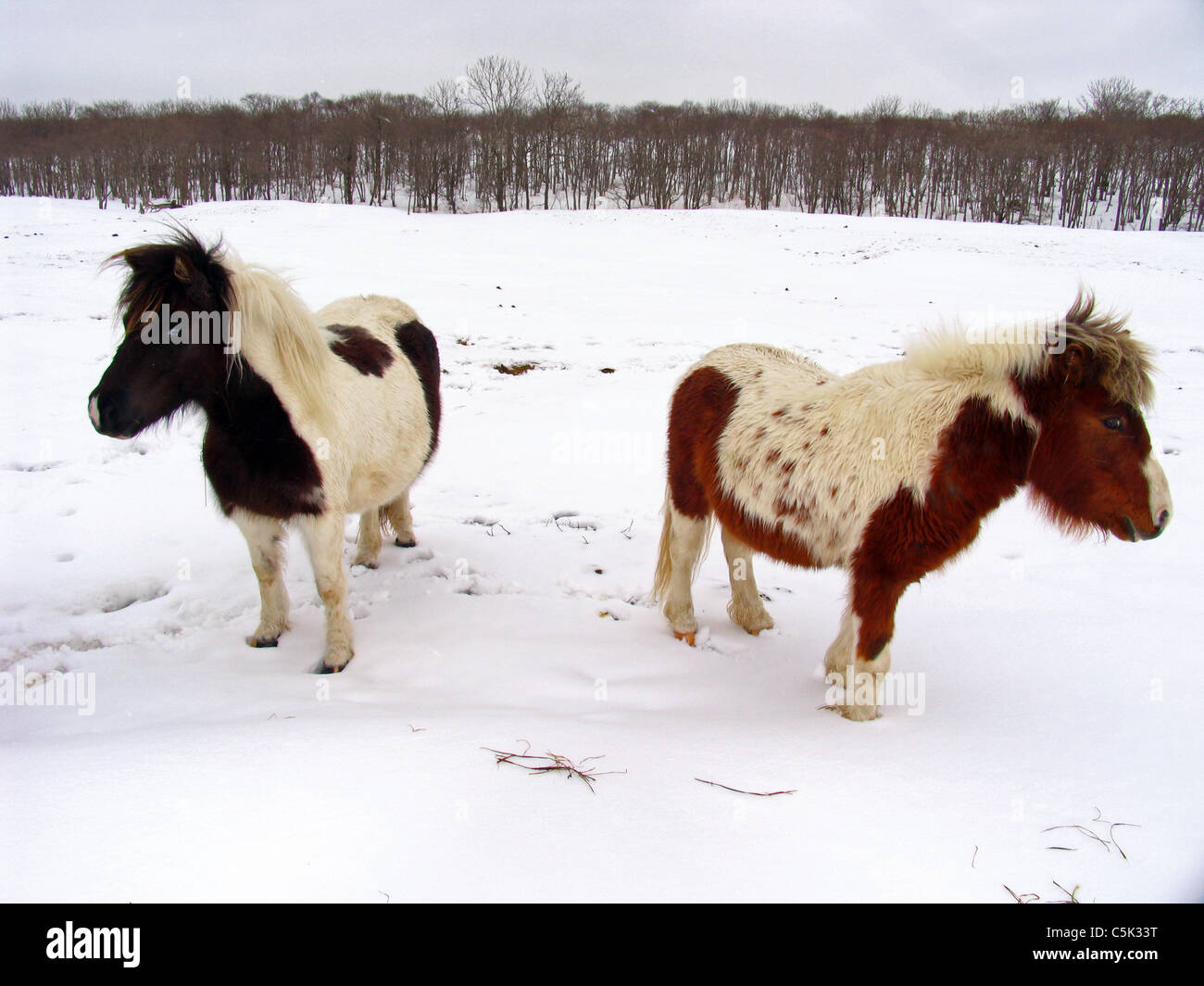 Hokkaido japan hi-res stock photography and images - Alamy