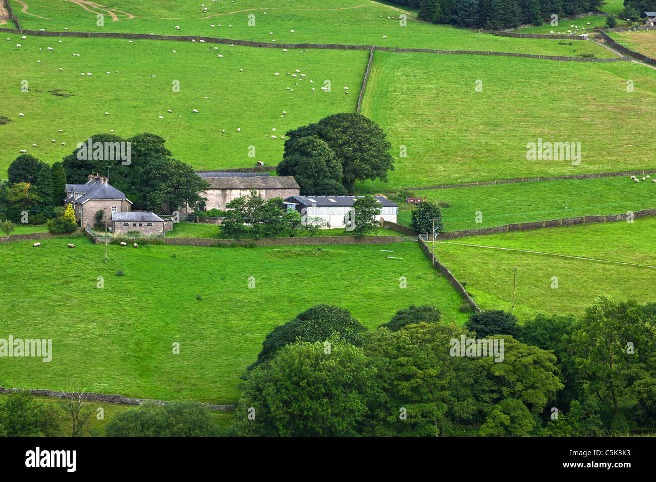 Isolated Farm in Cheshire Stock Photo - Alamy