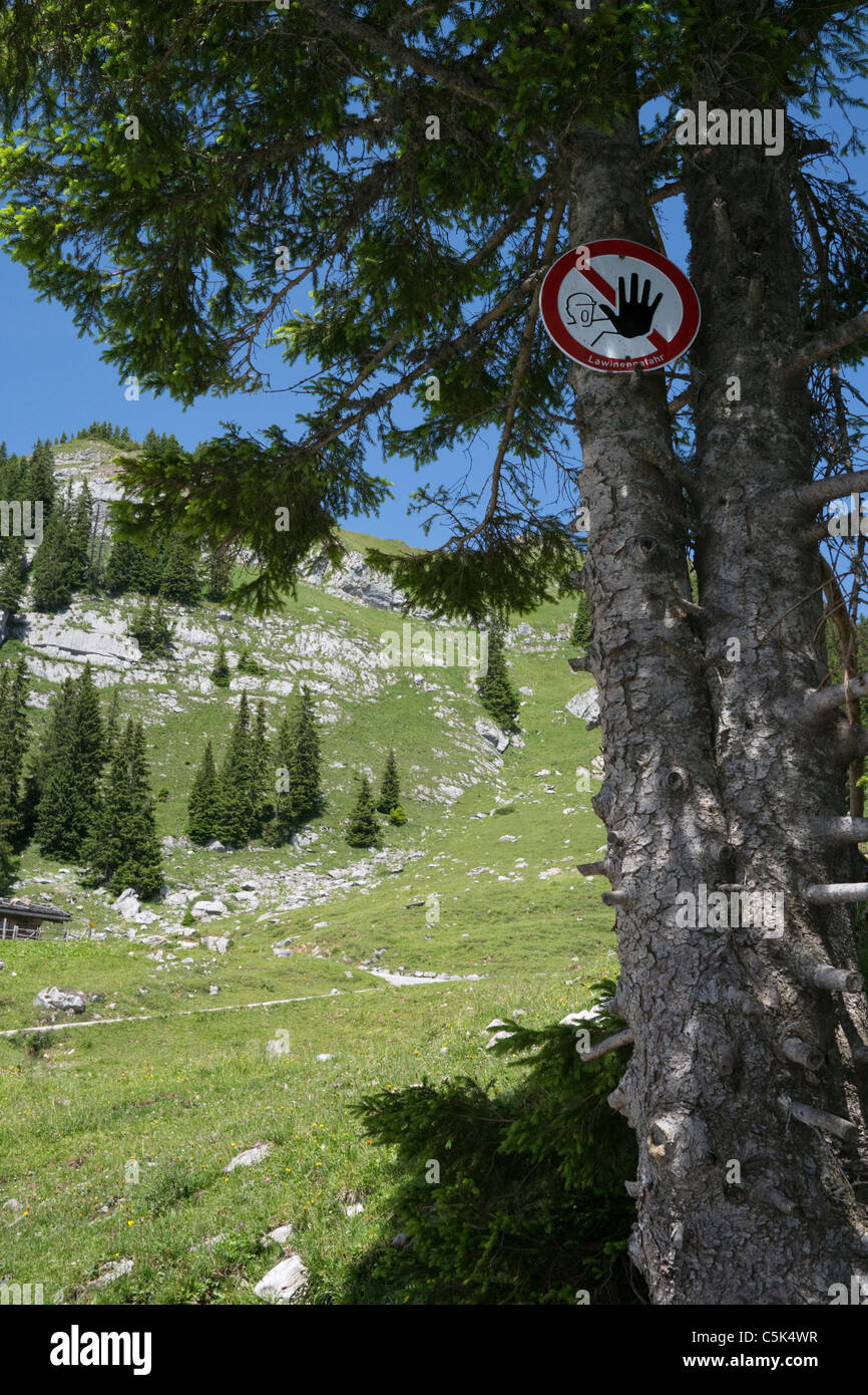 Avalanche warning sign in mountain region Stock Photo - Alamy