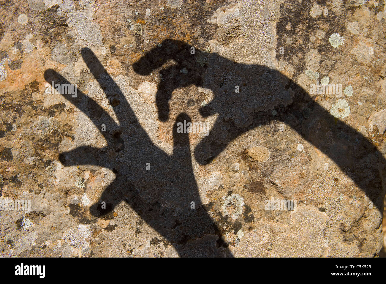 Female hands casting shadow over mold stained stone Stock Photo - Alamy
