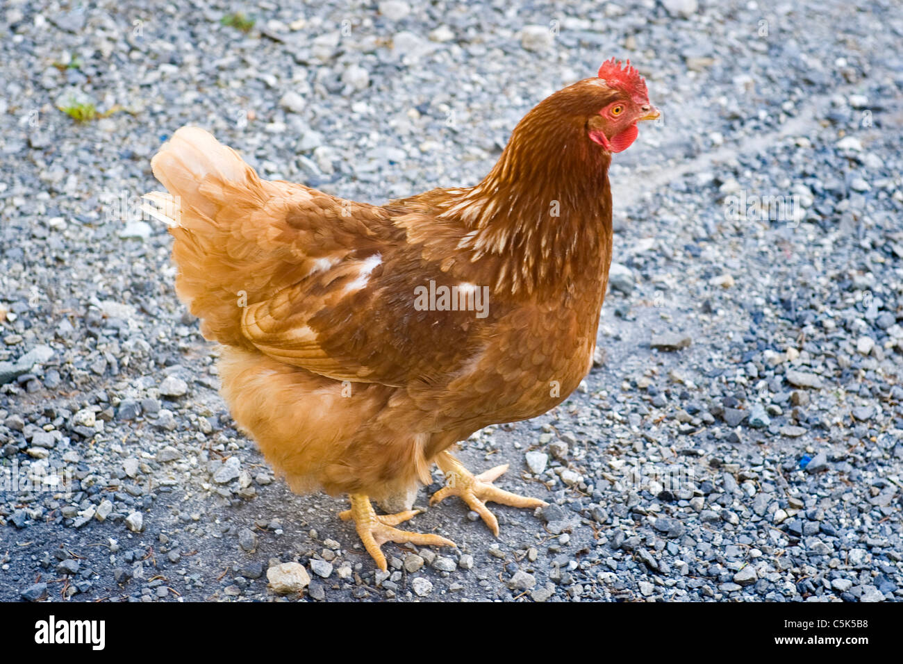 N'en hi-res stock photography and images - Alamy