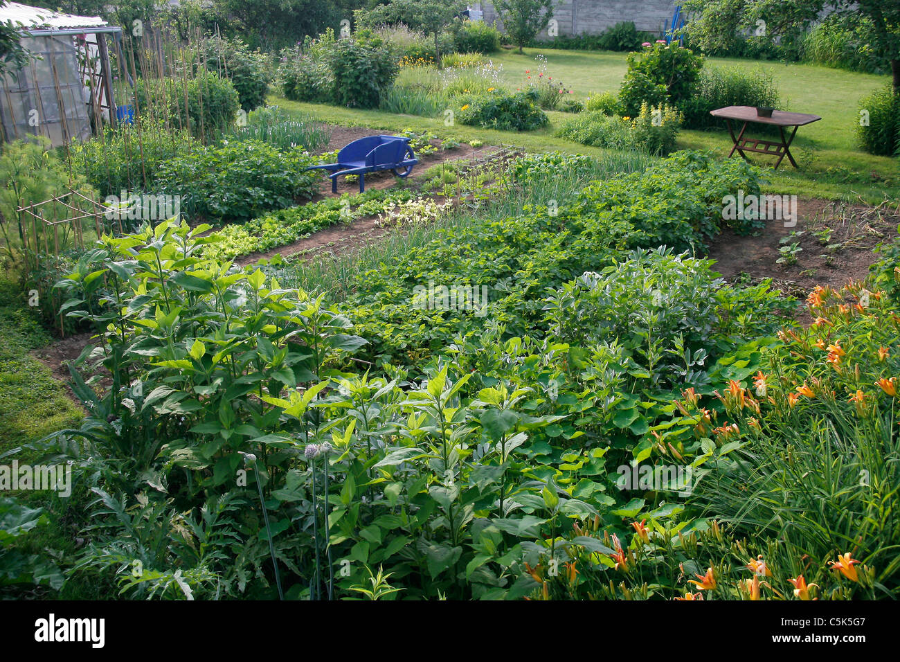 Vegetable plots in a vegetable garden (bird's eye view Stock Photo - Alamy