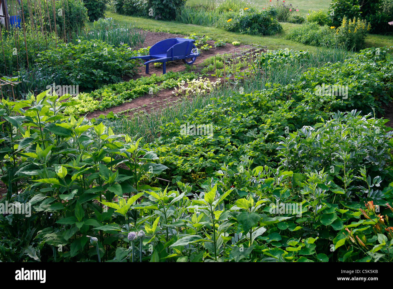Garden Birds Eye View High Resolution Stock Photography and Images - Alamy