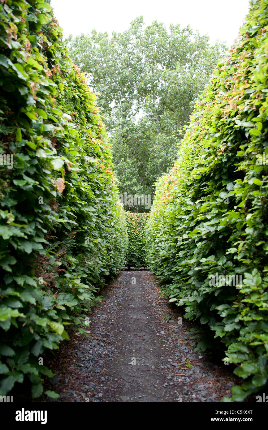 The maze at Traquair House, Innerleithen, Peeblesshire Scotland UK ...