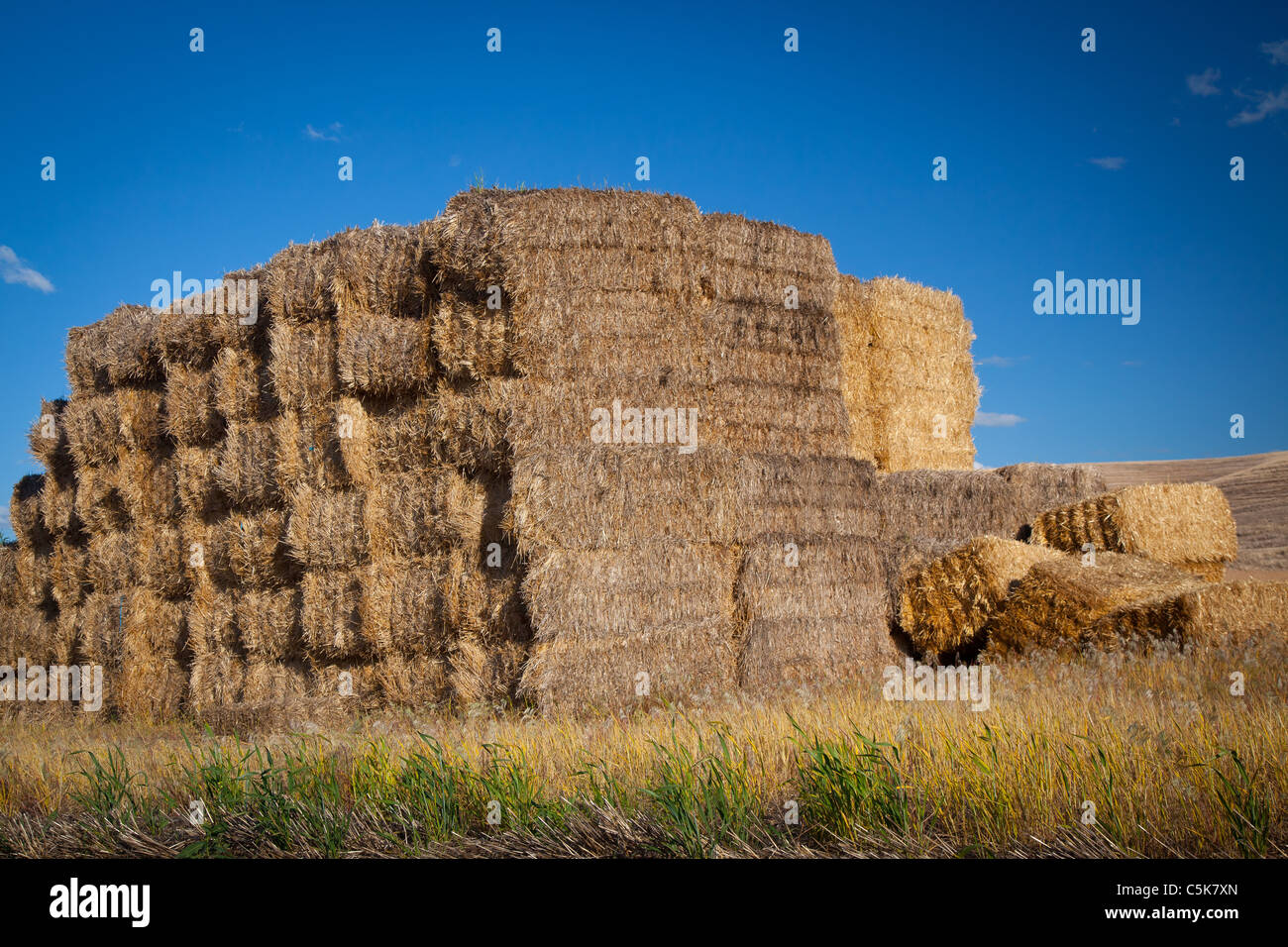 Hay bales near the town of Palouse in the agricultural area of The ...