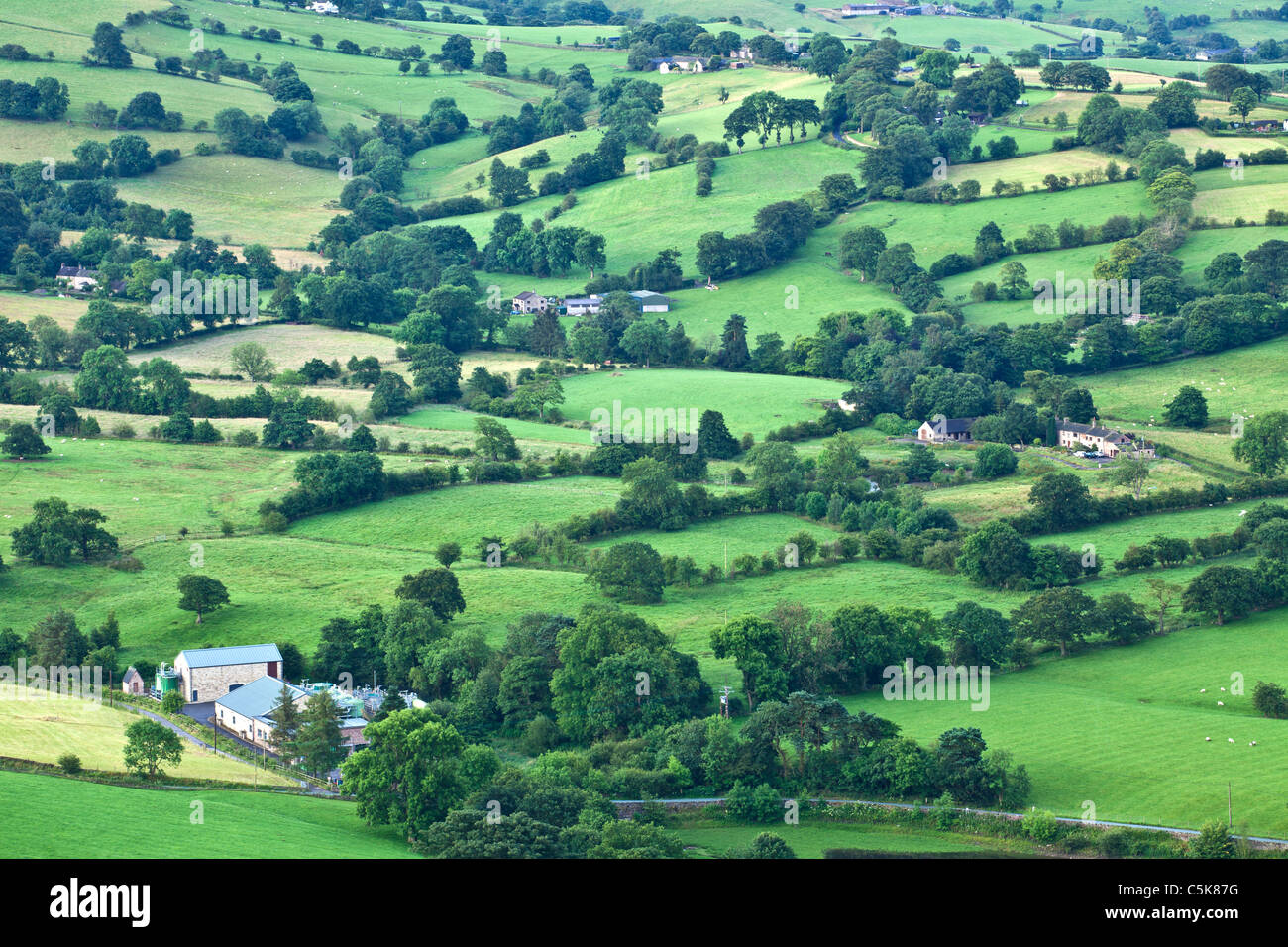 Cheshire hedgerows hi-res stock photography and images - Alamy