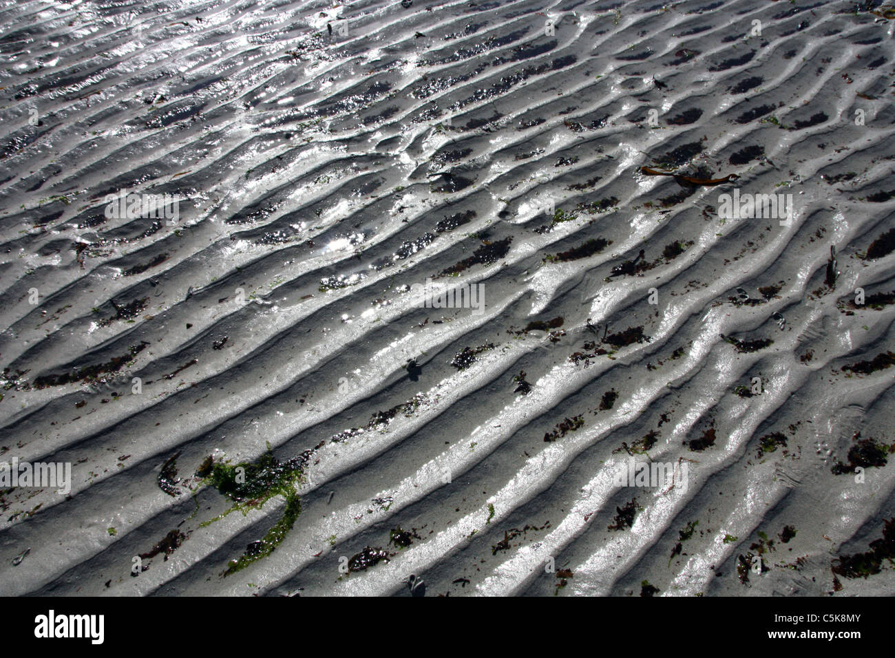 Patterns in the Sand Stock Photo - Alamy