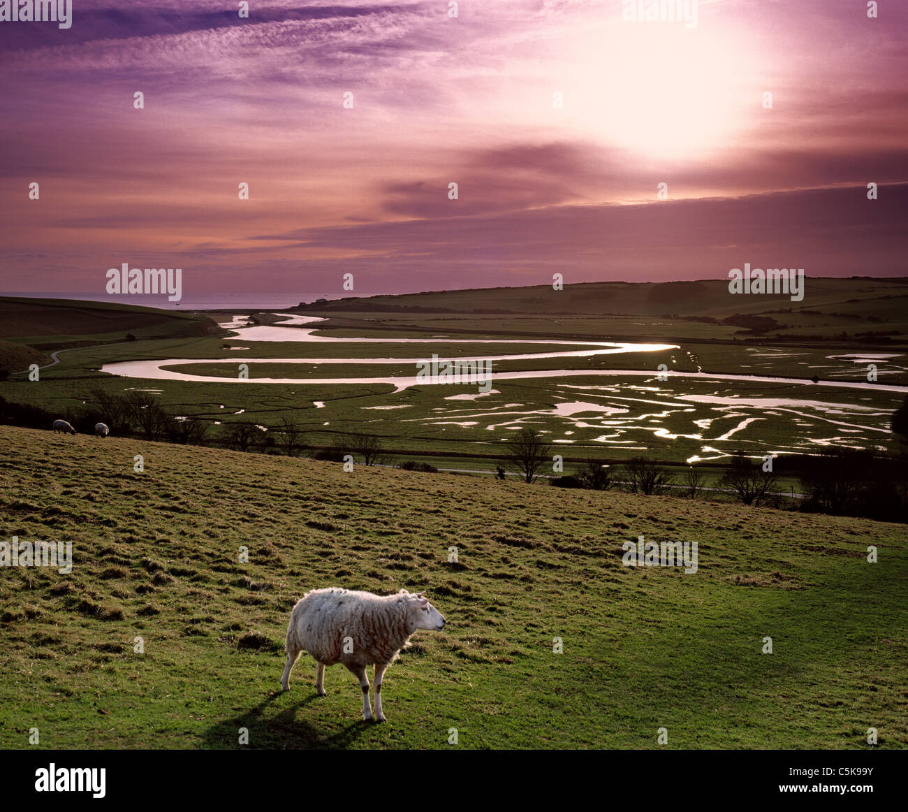 River meander uk hi-res stock photography and images - Alamy