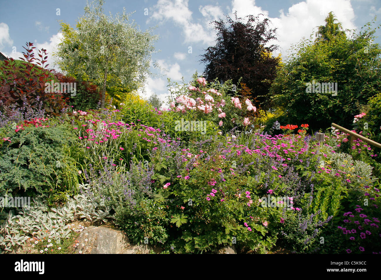 Mixed border hi-res stock photography and images - Alamy