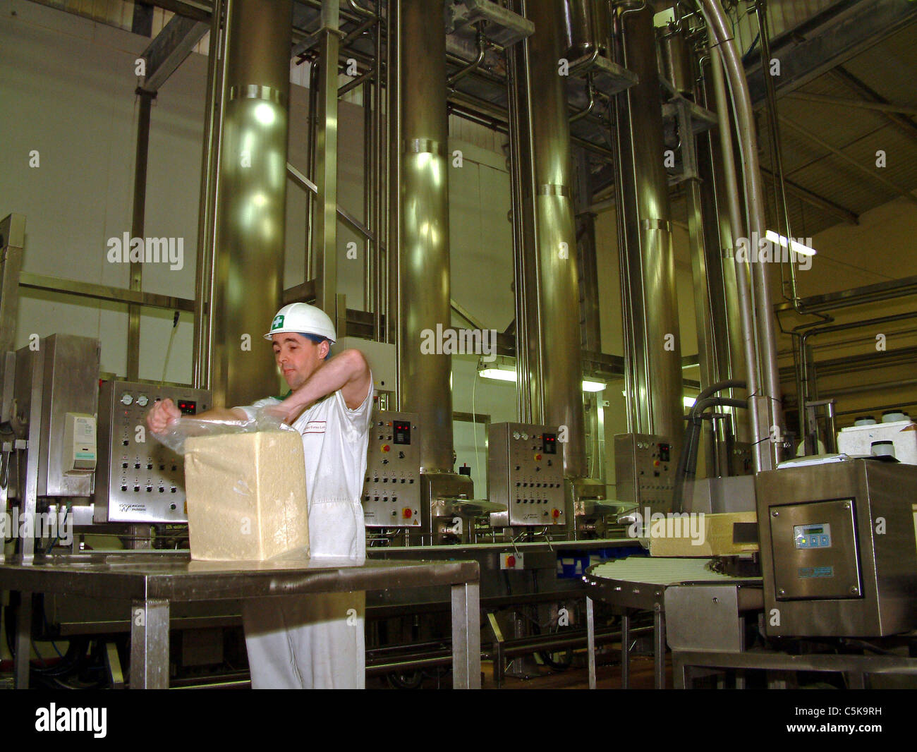 Packing cheddar cheese for maturation at Wyke Farms Stock Photo - Alamy