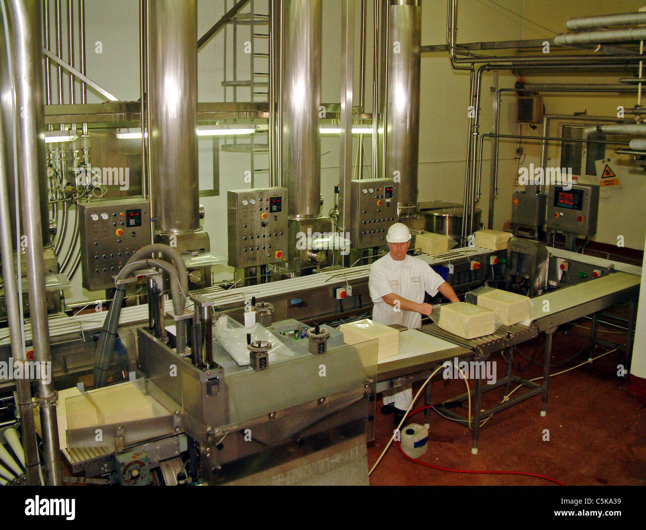Packing cheddar for maturation at Wyke Farms Stock Photo - Alamy